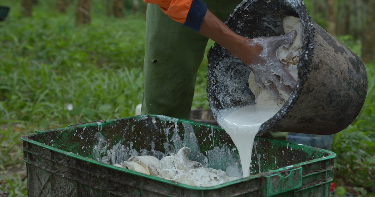 What’s JPA | Iniative | PROJECT TREE