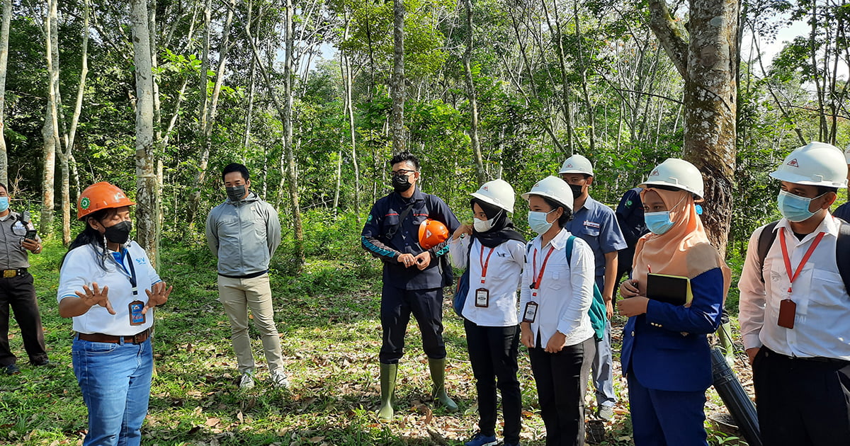 PROJECT TREE 2nd JPA Distribution (Cut-off September 2022) | Activity ...