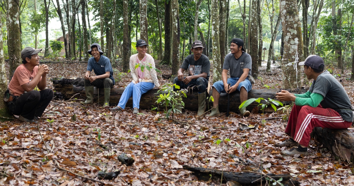 PROJECT TREE | 取り組み | 伊藤忠商事株式会社