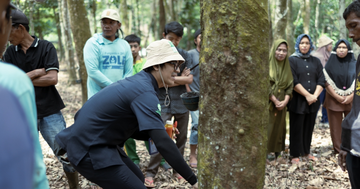 PROJECT TREE | 活動報告とお知らせ | 伊藤忠商事株式会社
